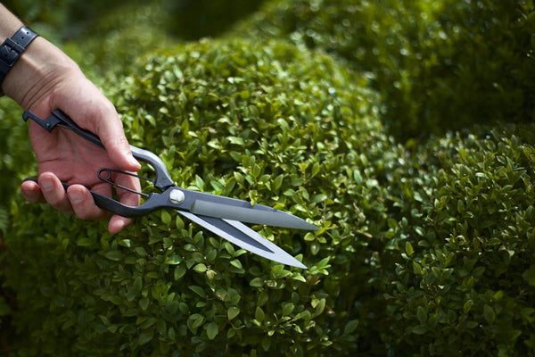 Niwaki Sentei Topiary Clippers – Made In Japan UK